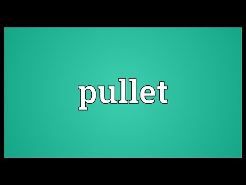 Pullet Meaning