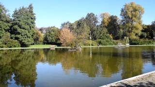 3 Best Parks in Basingstoke Deane, UK - Expert Recommendations