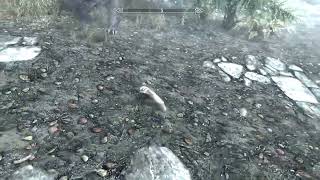 What Kind of Vegetable Is This at Skyrim Special Edition Nexus - Mods ...