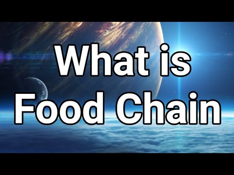 What is Food Chain. Urdu /English