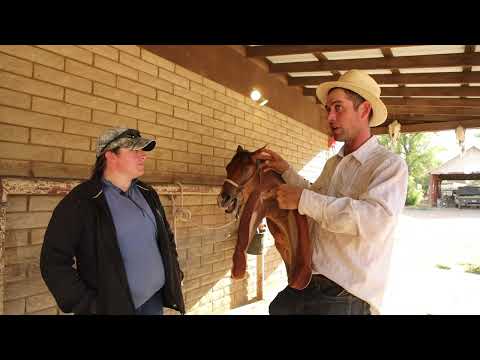 Saddle Pad Talk with Professional Saddle Fitter, Jax Butler