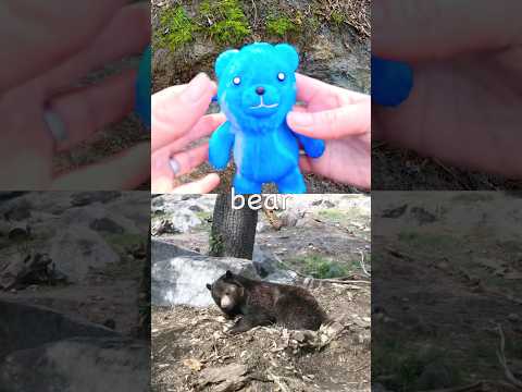 Learn Animal Names at the Stream for Kids: Bear Cow Hyena Snake Chameleon #SummerOnShorts