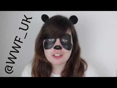 #passthepanda for Earth Hour | giffgaff