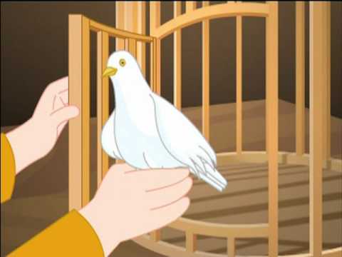 Arky Arky Noah   Cartoon Song