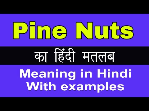 Pine Nuts Meaning in Hindi/Pine Nuts का अर्थ या मतलब क्या होता है