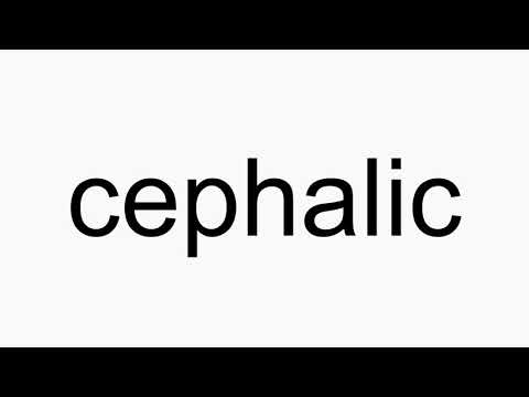 How to pronounce cephalic