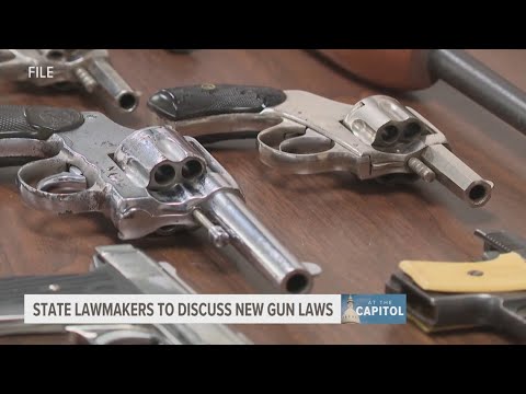 Michigan lawmakers set to discuss new gun laws in Lansing Thursday