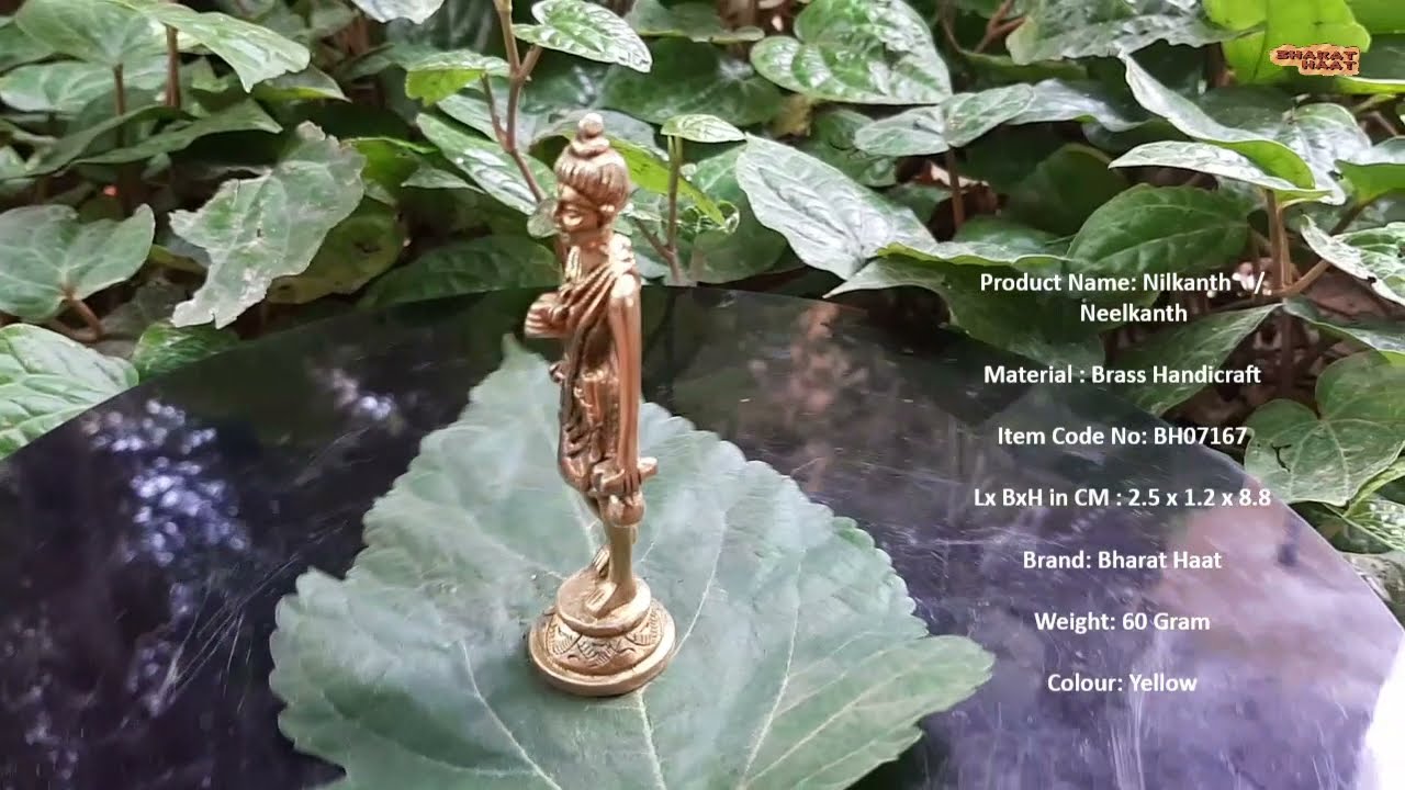 BHARAT HAAT Brass Neelkanth Varni Nilkanth Statue Sahajanand Swami Swaminarayan Idol
