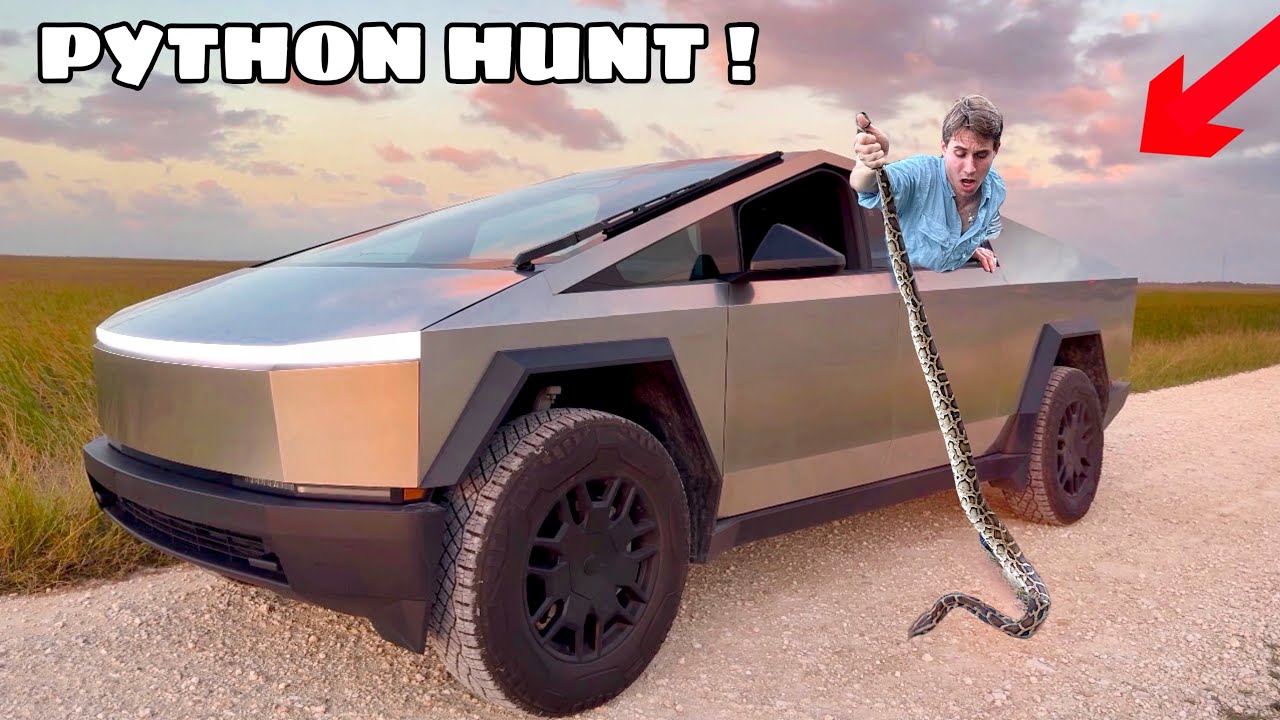 I TOOK MY CYBERTRUCK PYTHON HUNTING in The EVERGLADES !