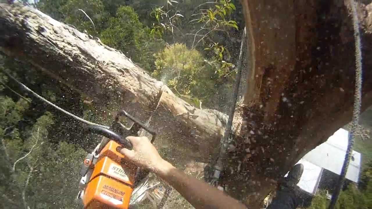 Natural Crotch Rigging Technique