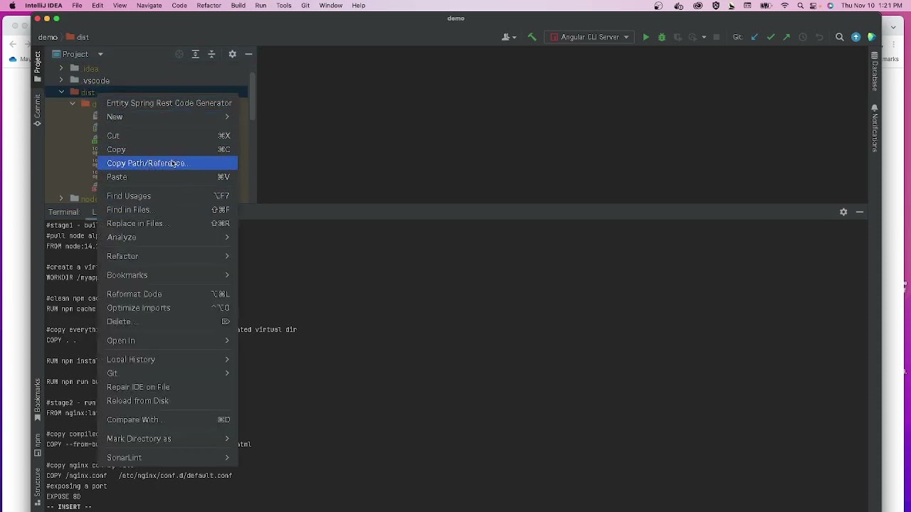 Run Angular App using Docker Container