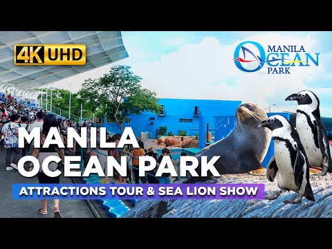 MANILA OCEAN PARK Full Walking Tour | 2023 Attractions Update | Sea Lion & Birds Show【4K】