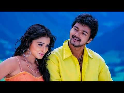 Beautiful Shouth Actor And Actress #bollywood #shauth heroine #viralvideo #actor #2023