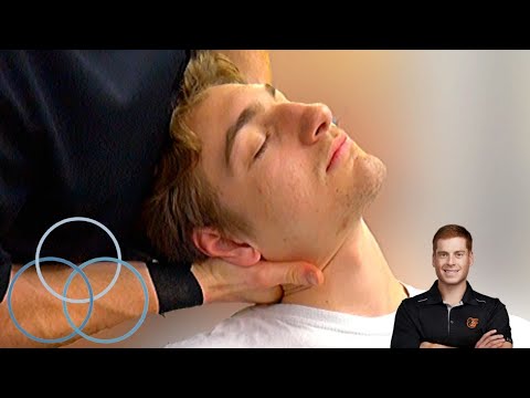 'Bassy' Is Back For A Full Body Adjustment | Chiropractor in Towson