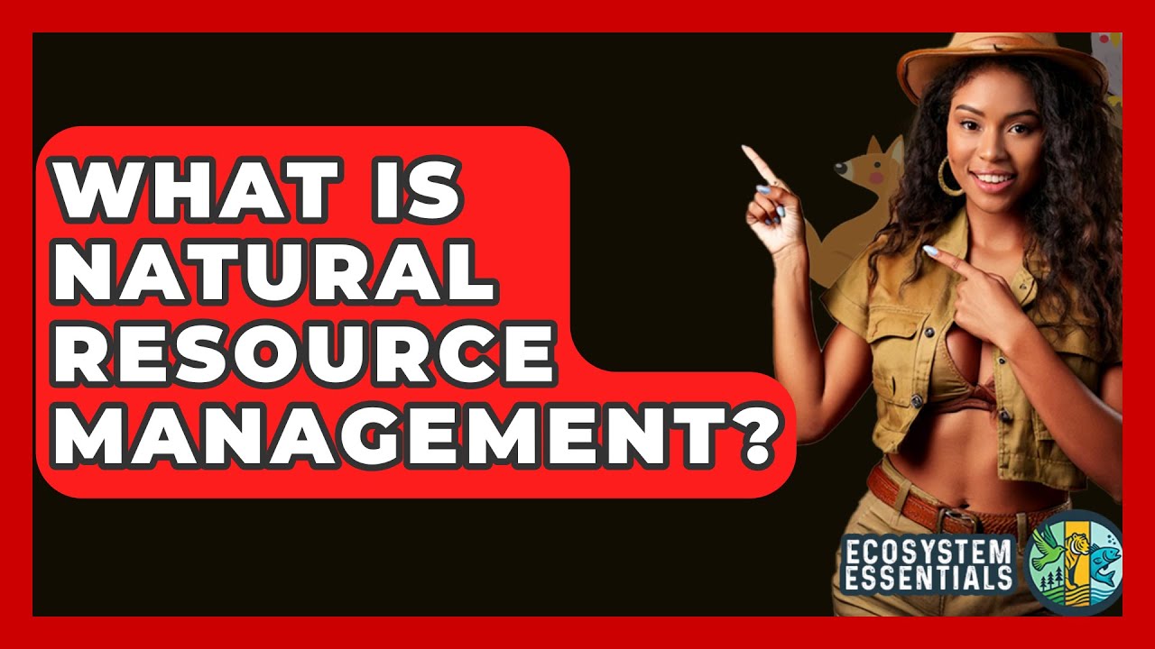 What Is Natural Resource Management? - Ecosystem Essentials