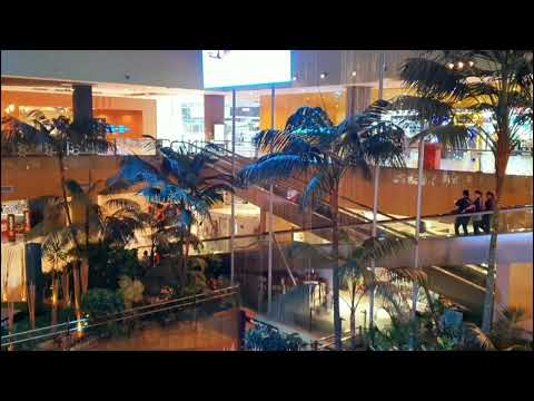 Times Square Centre | Mall 🛍 | ChillOut🧊Cafe | Family | Shopping | Sheikh Zayed Road | Dubai