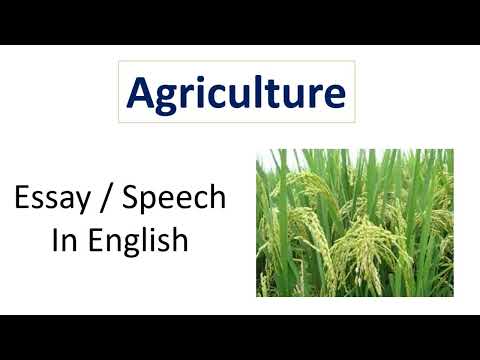 Essay on Agriculture in English | About Agriculture in English.