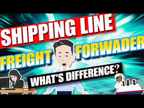 Which is the Better Career Change? Explained the Comparison between Forwarder and Shipping Company