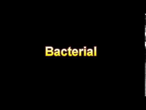 What Is The Definition Of Bacterial Medical Dictionary Free Online