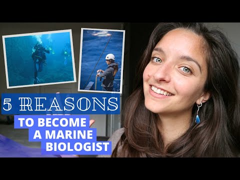5 reasons why you SHOULD be a MARINE BIOLOGIST