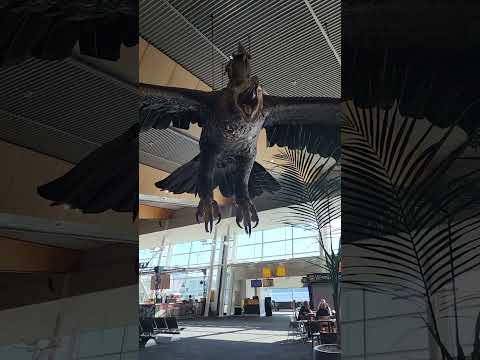 Gandalf and Eagles Wellington airport, New Zealand