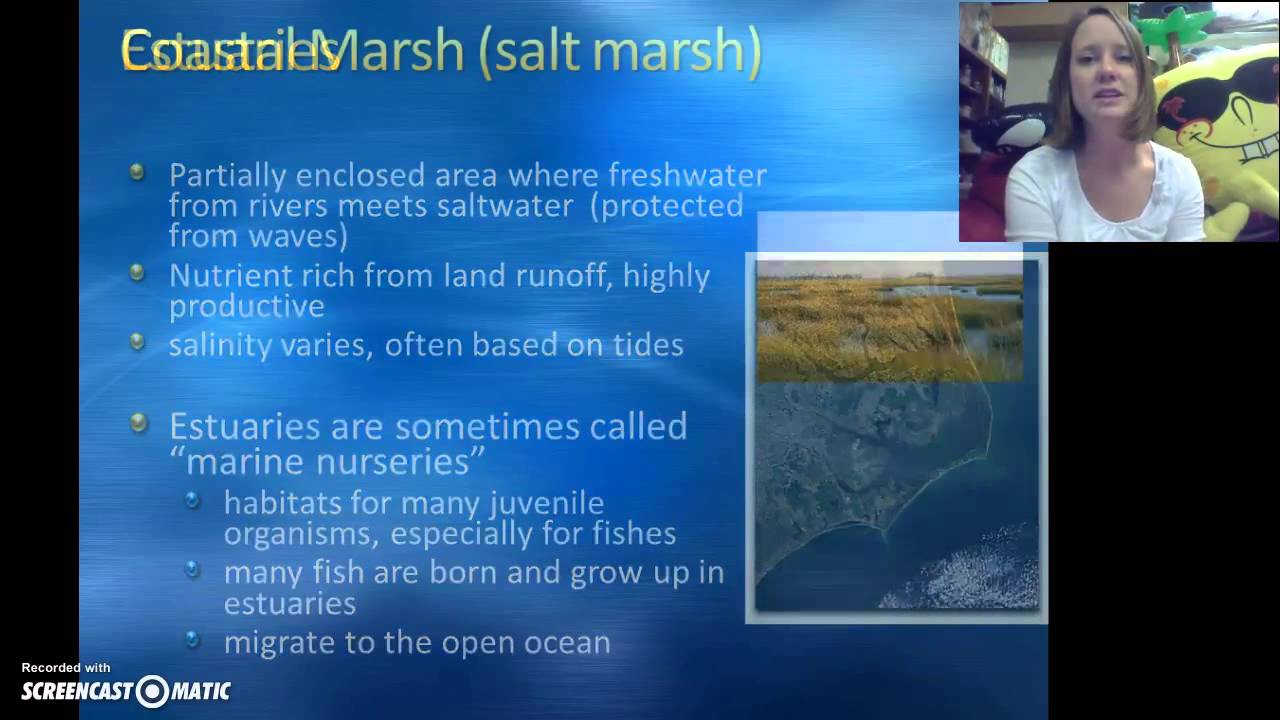 Aquatic Marine Ecosystems