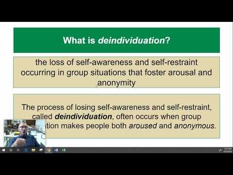 AP Psychology 9.4: Group Influences on Behavior
