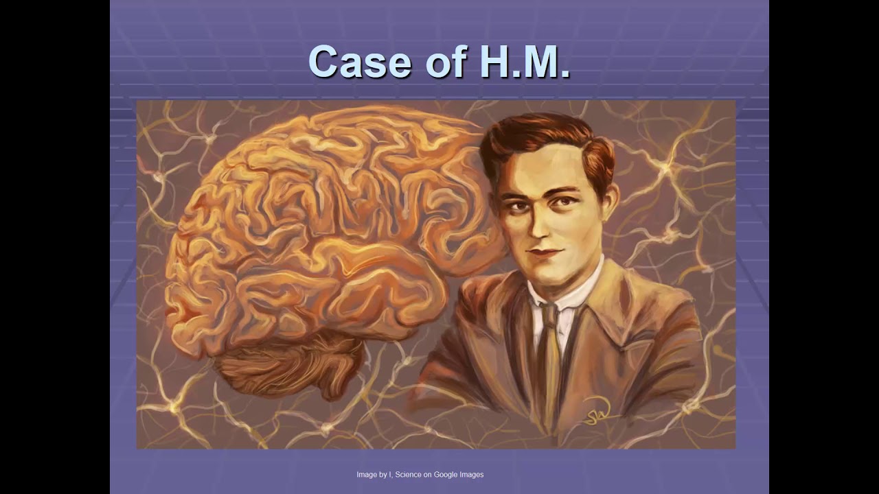 Introduction to Amnesia