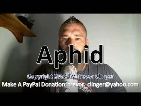 How To Pronounce Aphid