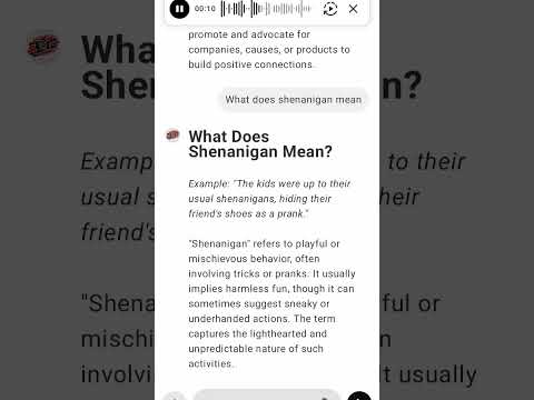 What Does Shenanigan Mean?
