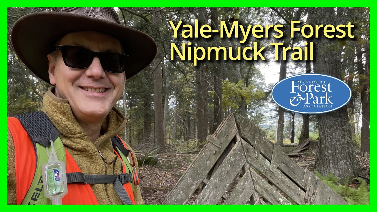 Yale-Myers Forest - Nipmuck Trail