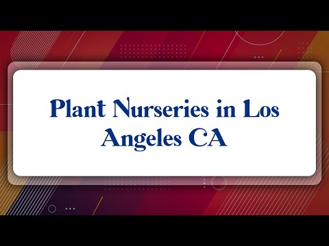 Top 10 Plant Nurseries in Los Angeles, CA