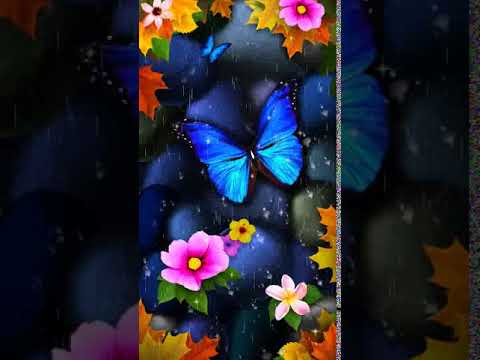 Fall flowers raindrop quiet maple leaf Animated