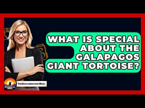 What Is Special About The Galapagos Giant Tortoise? - The Documentary Reel