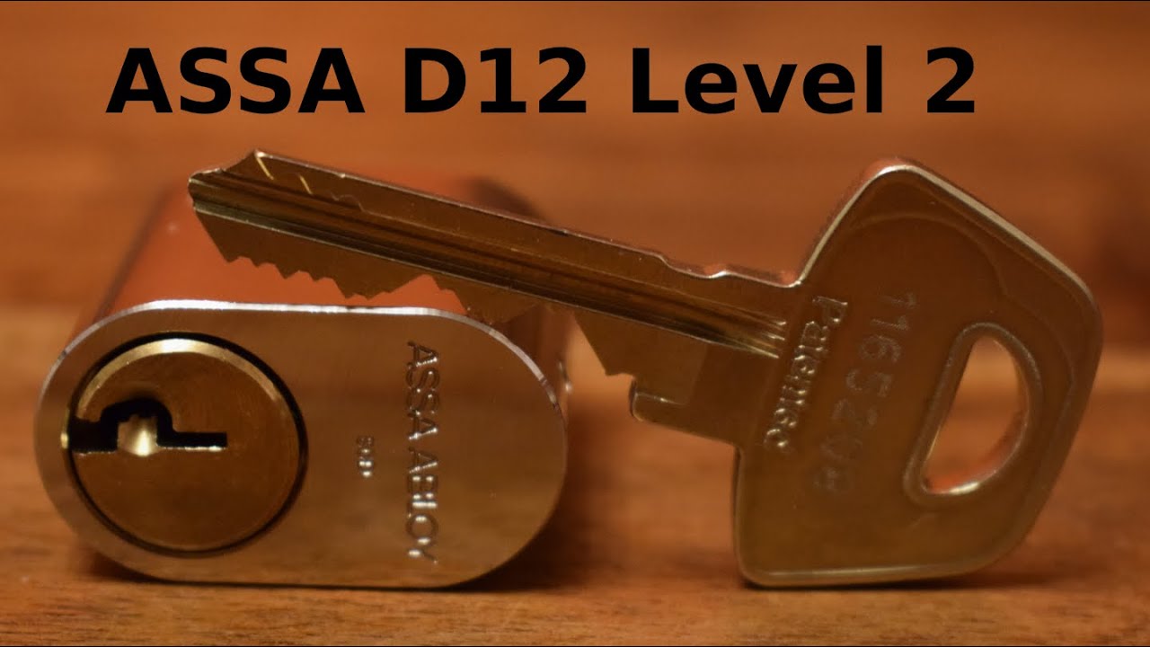 Assa D12 Level 2 pick and gut