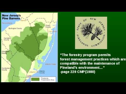 Fire on Campus: Approach to the Management of Stockton University's Forest Within the Pinelands Nati