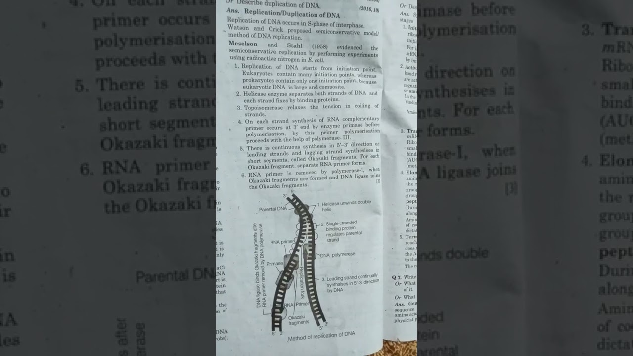 DNA replication with notes👍👍👍👍👍👍👍most imp.