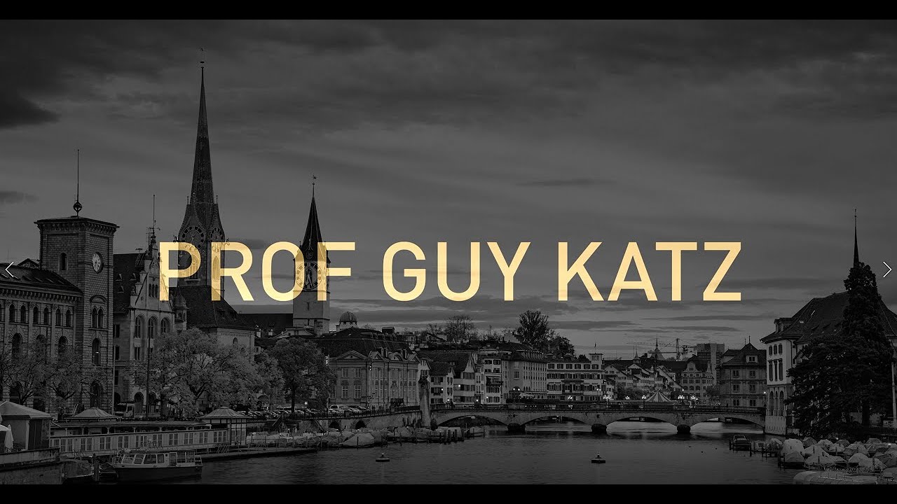 Summary: N-Conference 2021 - Guy Katz