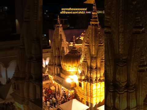 Shree Kashi Vishwanath🙏 Sahanand Mananam | Varanasi natham nath ❤️#mahadev #shivjistatus #shortsfeed