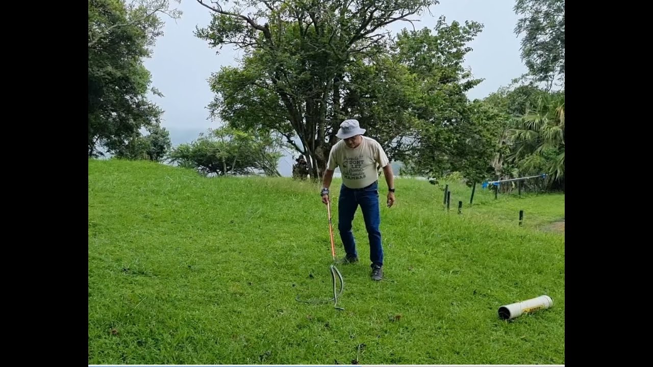 Raking a Black Mamba