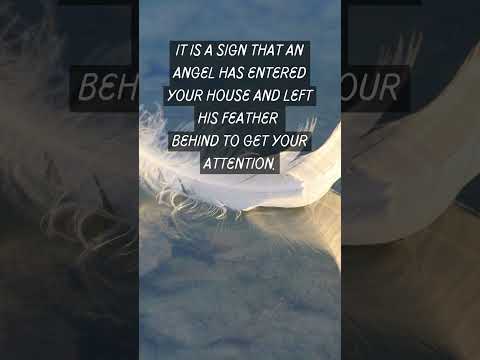 ANGELS IN YOUR HOUSE (Sign 111 Finding feathers)