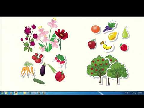 DEMO Manual digital INTUITEXT Matematică și explorarea mediului Clasa I