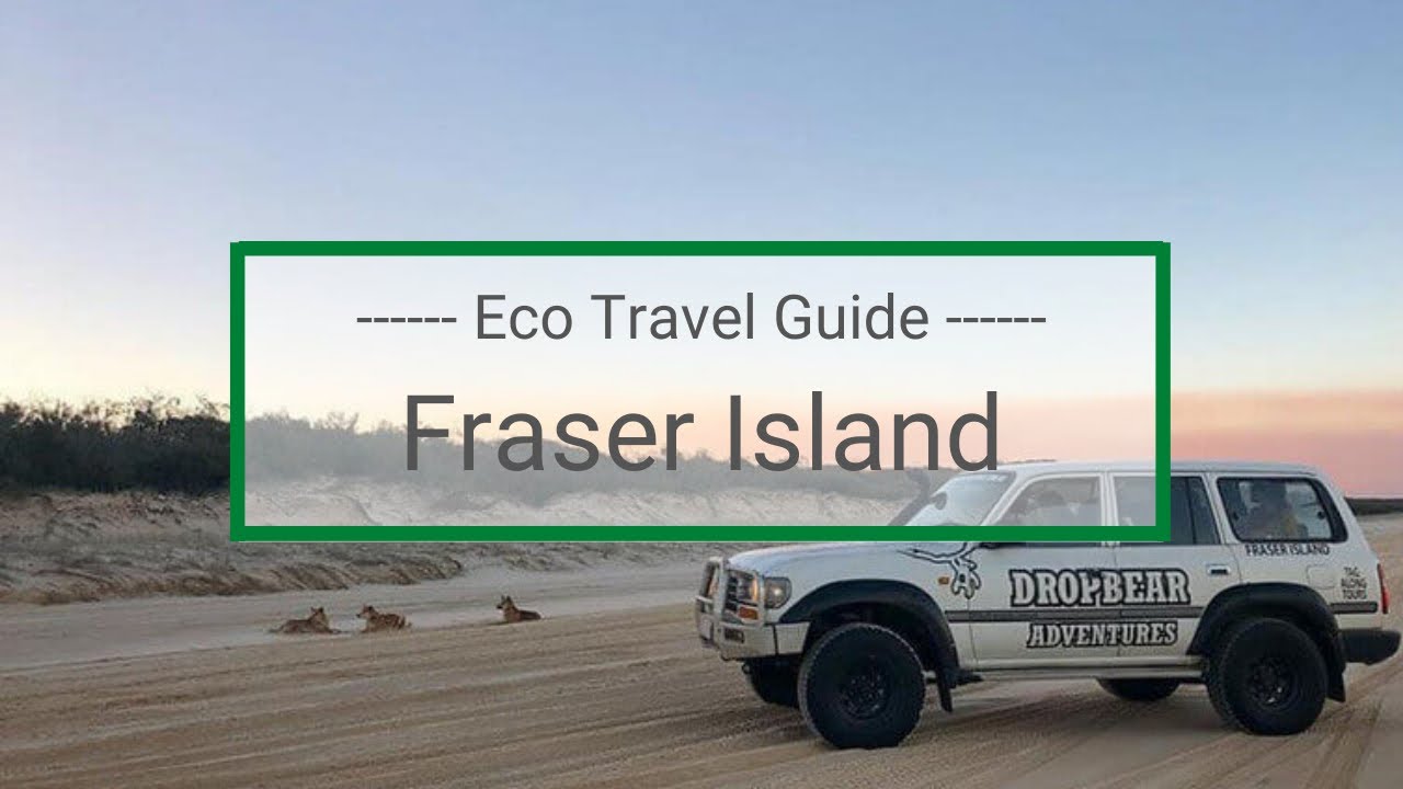 Visit Fraser Island - Drop Bear Adventures - Queensland
