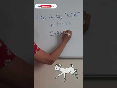 How to say GOAT in french| #viral #francaise #frenchlanguage #learn #foryou#france #india