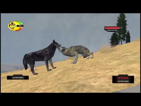WolfQuest Tutorial On How To Get A Mate