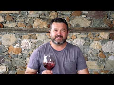 Meet the Producers: Thymiopoulos Xinomavro, Majestic Festival 2021