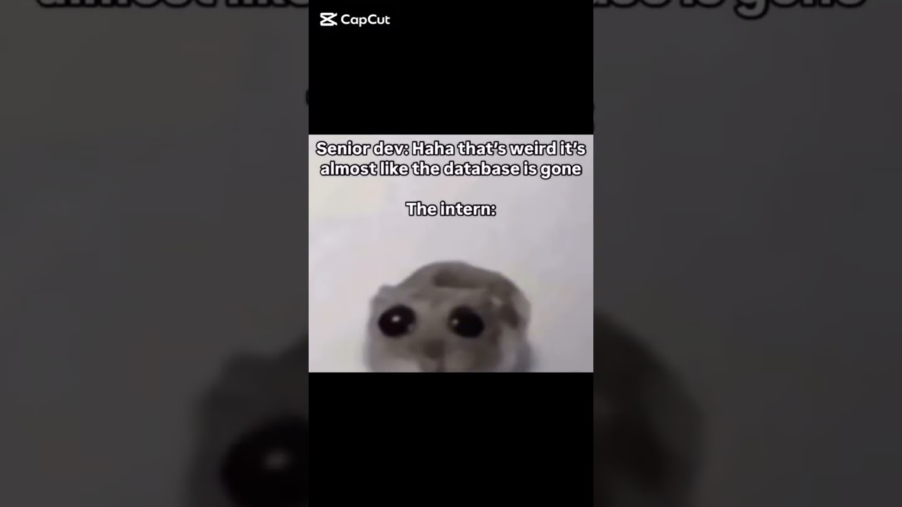 #correctcoding #memes #programming #codingbat #softwaredevelopment #softwareengineer #funny