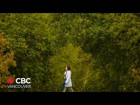 Arborist Dan Sharp gives us tips on tree health
