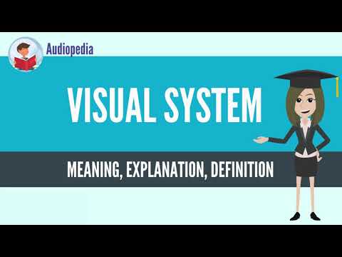 What Is VISUAL SYSTEM? VISUAL SYSTEM Definition & Meaning