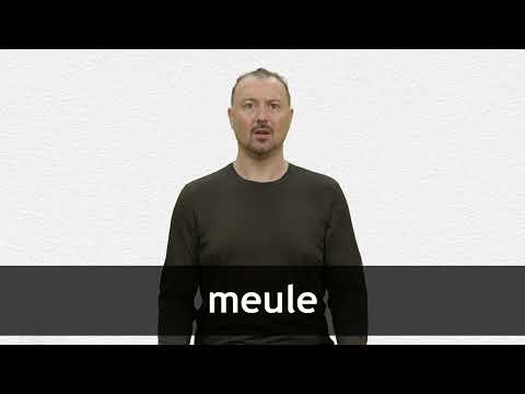 English Translation of “MEULE” | Collins French-English Dictionary